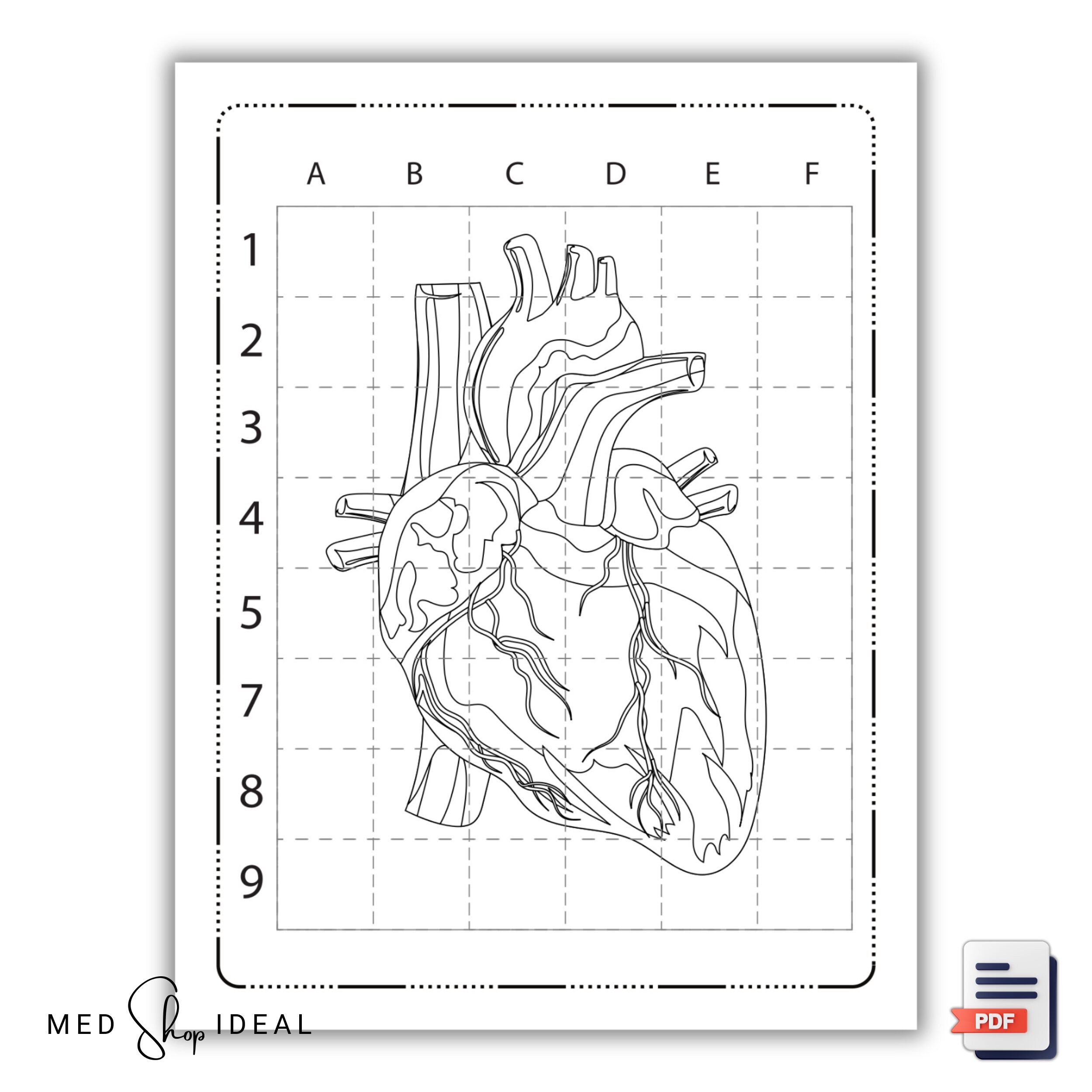 How to Draw Human Anatomy - Printable Coloring Pages - Instant Download ...