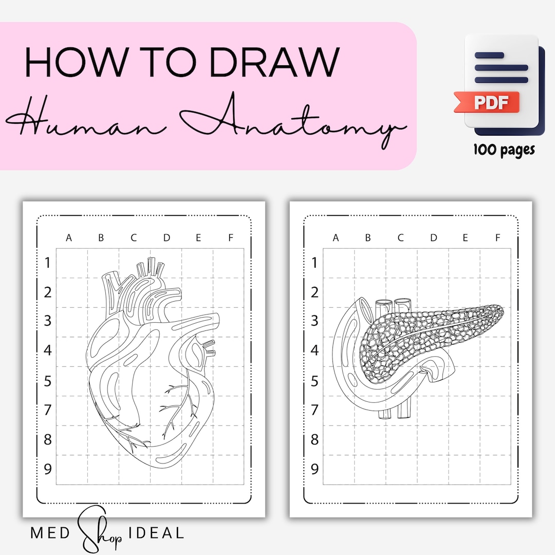 How to Draw Human Anatomy - Printable Coloring Pages - Instant Download ...