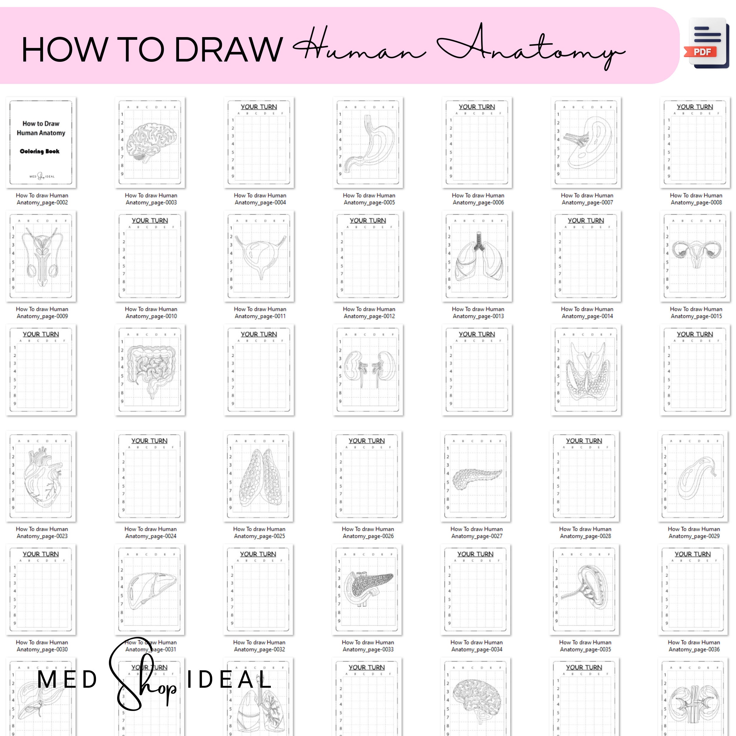 How to Draw Human Anatomy - Printable Coloring Pages - Instant Download ...