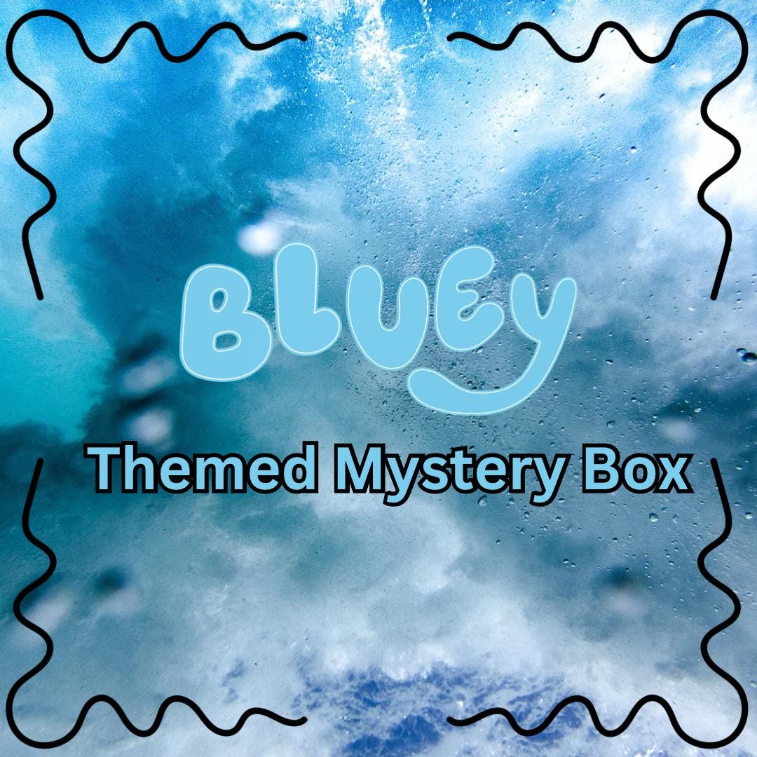 Bluey Themed Childrens Mystery Box - Etsy