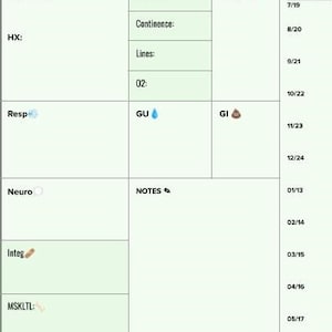 Ultimate Nursing Assignment Sheet - All Specialties- Patient Report ...