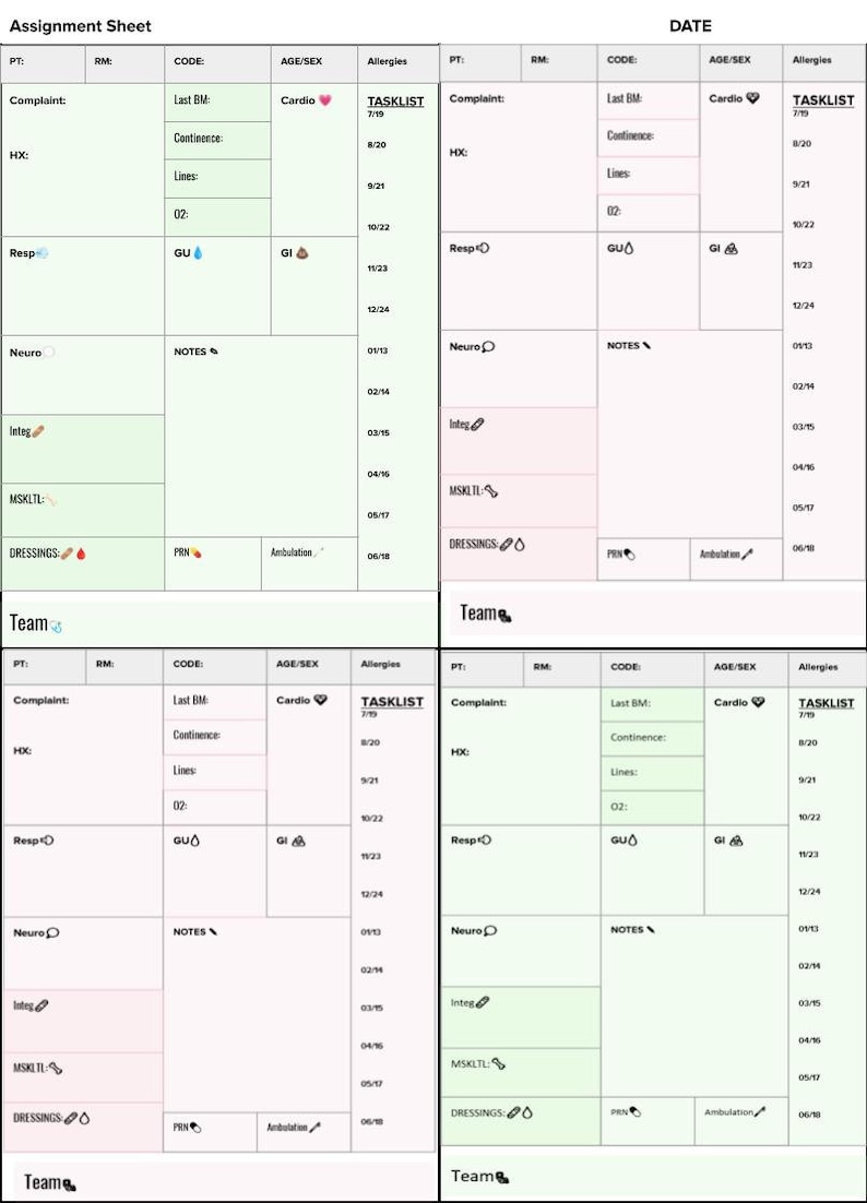 Ultimate Nursing Assignment Sheet - All Specialties- Patient Report ...