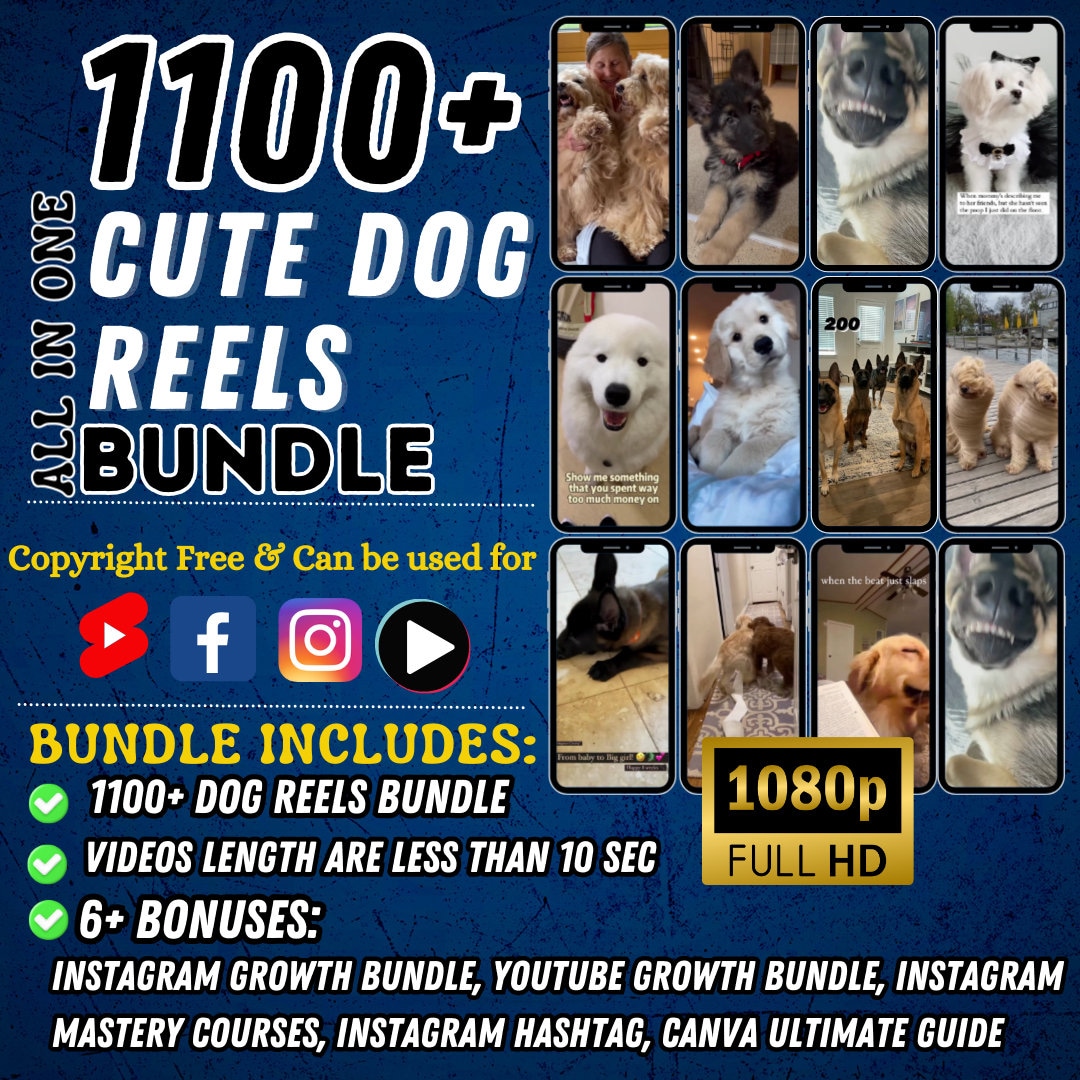 1100 Cute Dog Reels, Cute Dog Reels Bundle, Dog Reels, Funny Dog Reels ...