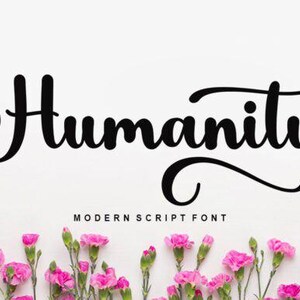 Calligraphy Font Bundle | 50 Elegant Script & Signature Fonts | Modern ...