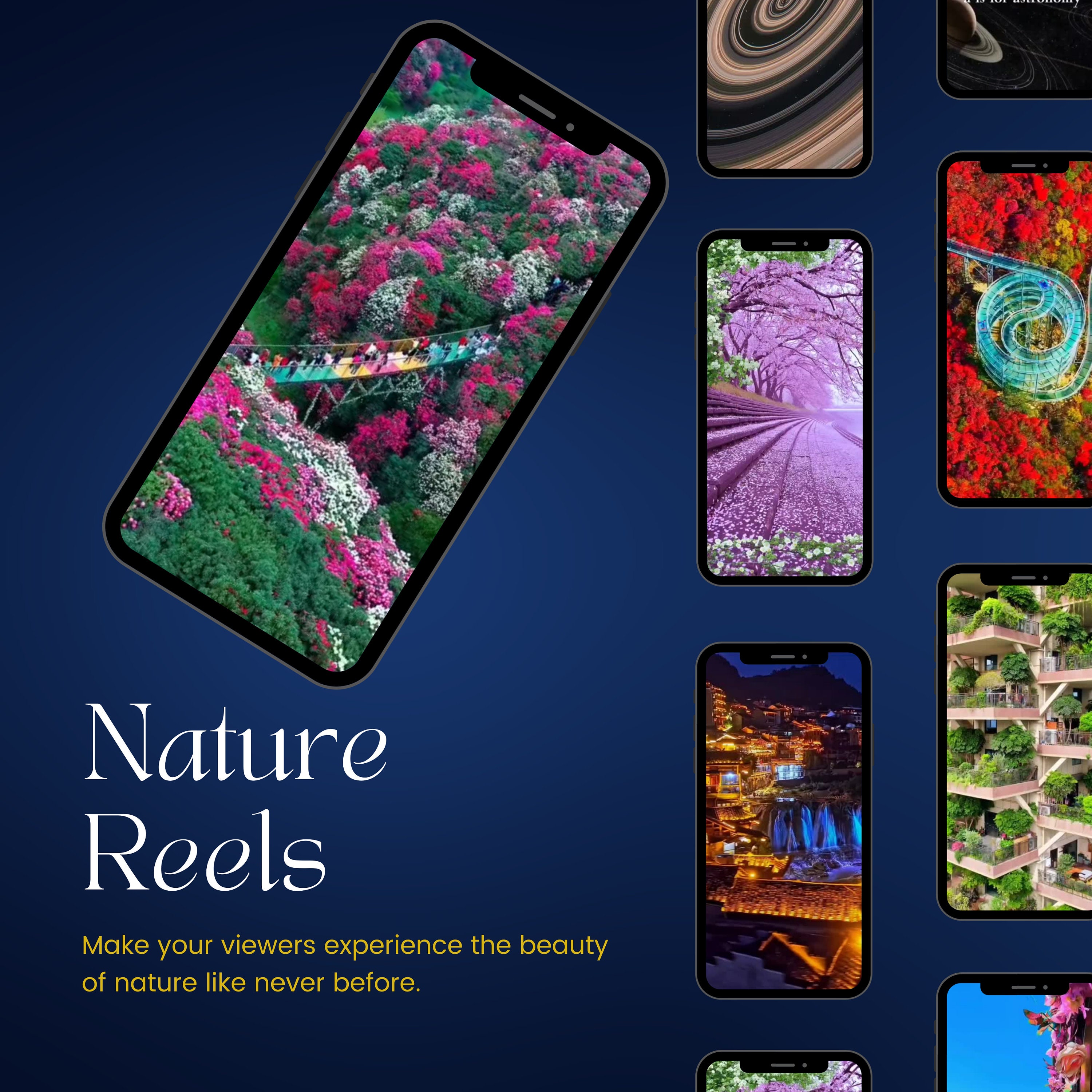 Mega Reels Bundle 30000 Reels Bundle AI Motivational Reels, AI Health Reels, Art and Craft Reels ...