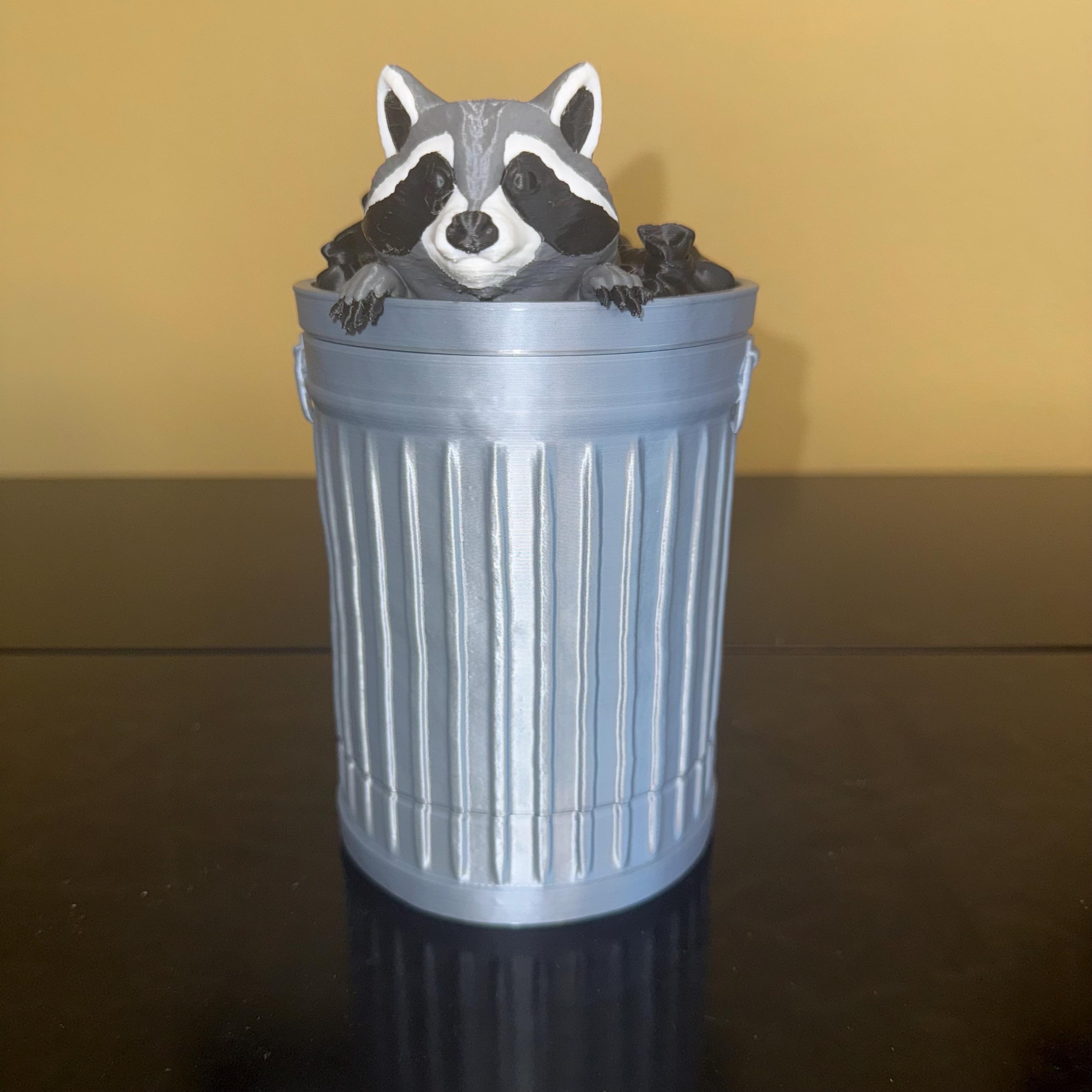 Racoon Trash Can MTG Deck Box | Pokemon | Yugioh | Commander | Deck Box ...