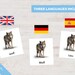 NOCTURNAL ANIMALS 24 Montessori Cards German Spanish Flash Card ...