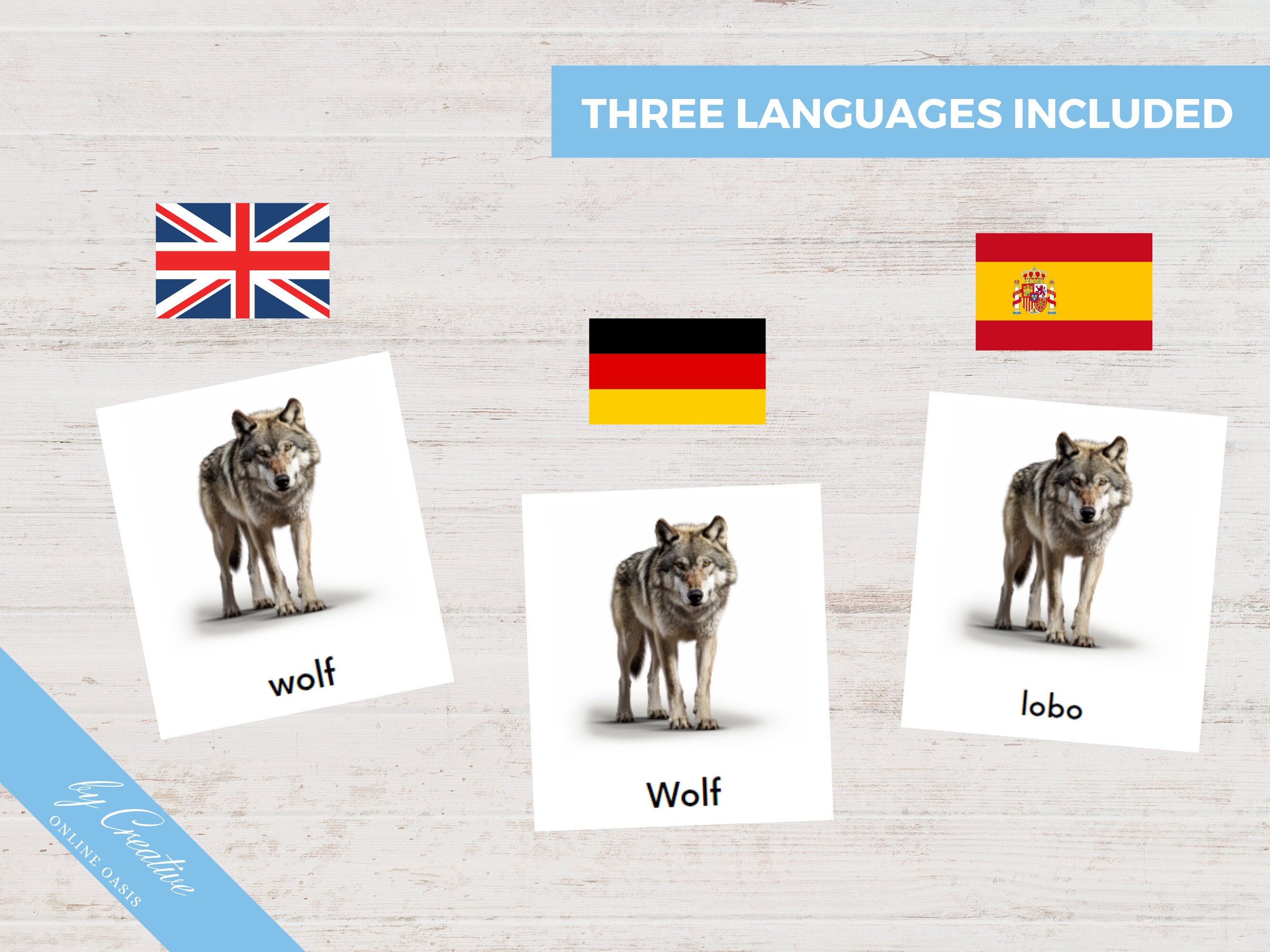 NOCTURNAL ANIMALS 24 Montessori Cards German Spanish Flash Card ...