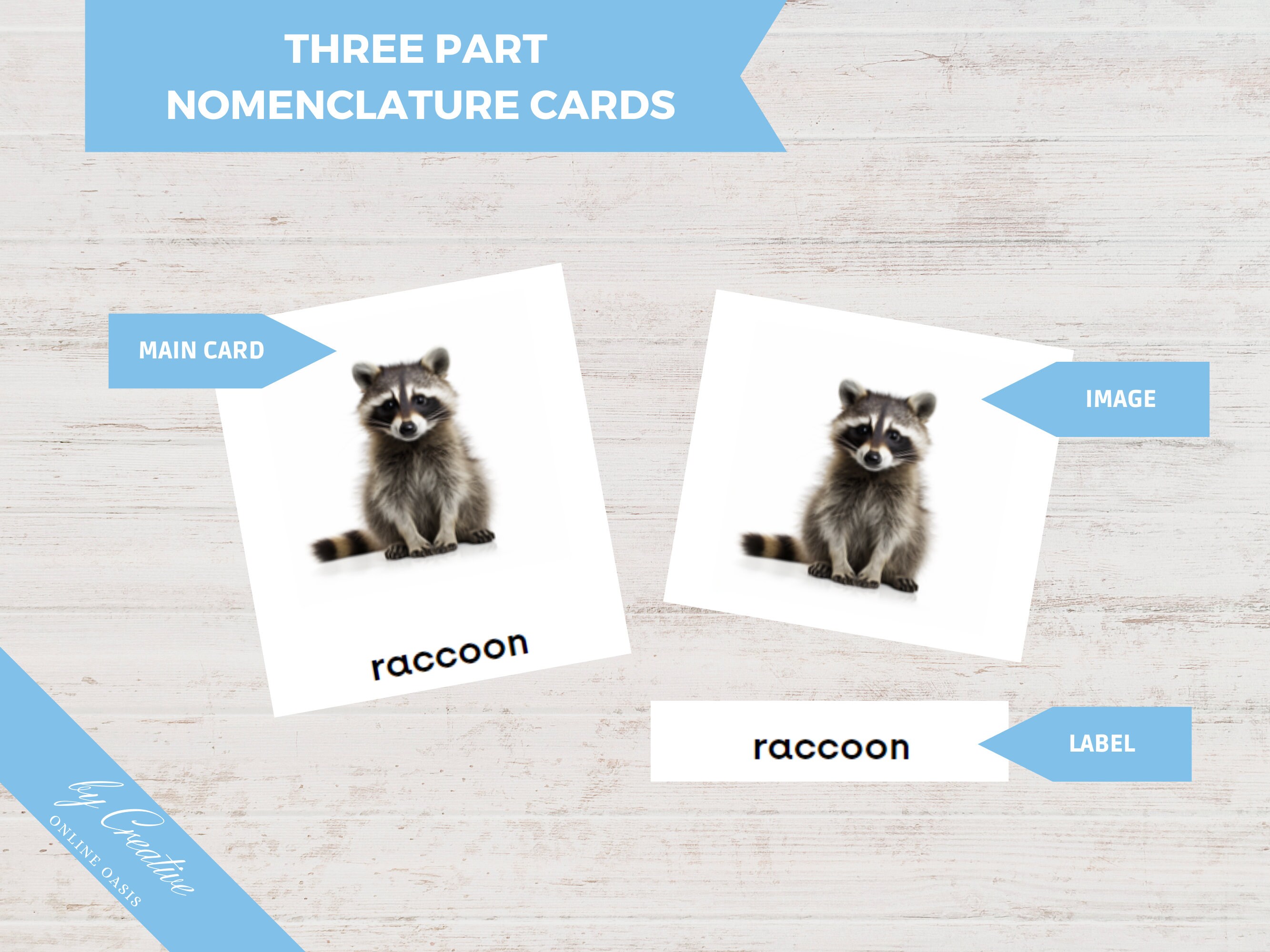 NOCTURNAL ANIMALS 24 Montessori Cards German Spanish Flash Card ...