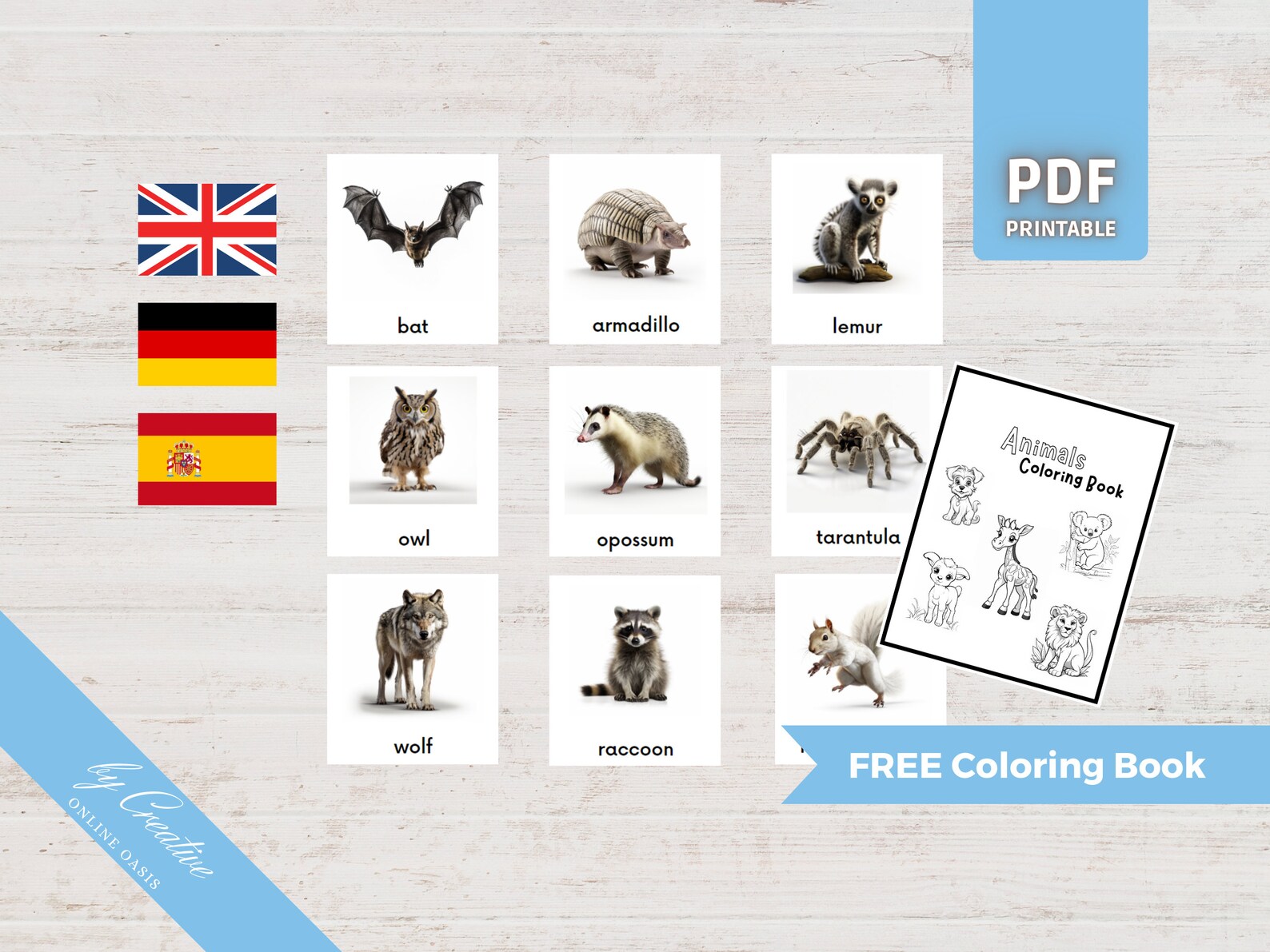 NOCTURNAL ANIMALS 24 Montessori Cards German Spanish Flash Card ...