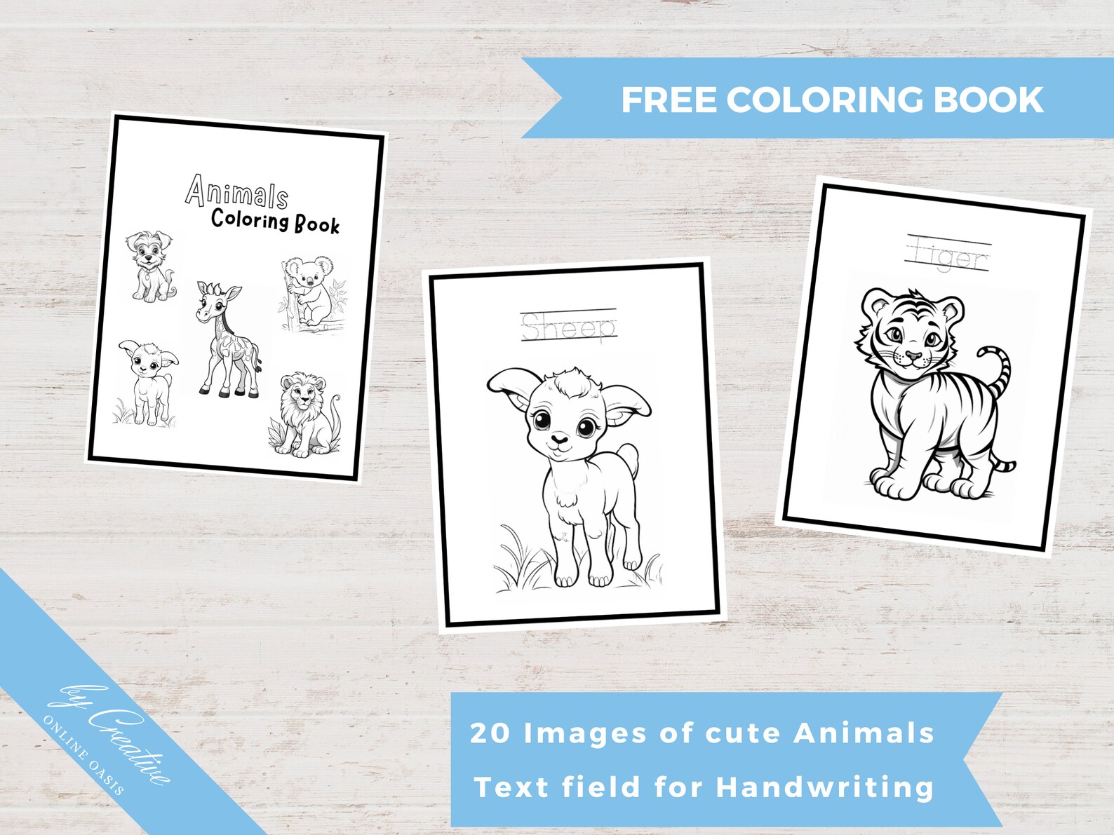 FIRST FOODS 28 Montessori Flash Cards German English Spanish ...