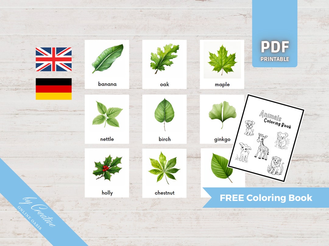 PLANT LEAVES • 24 Montessori Cards • Flash Cards German English ...