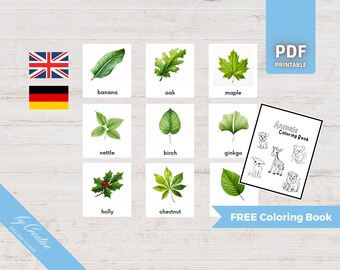 FIRST FOODS 28 Montessori Flash Cards German English Spanish ...