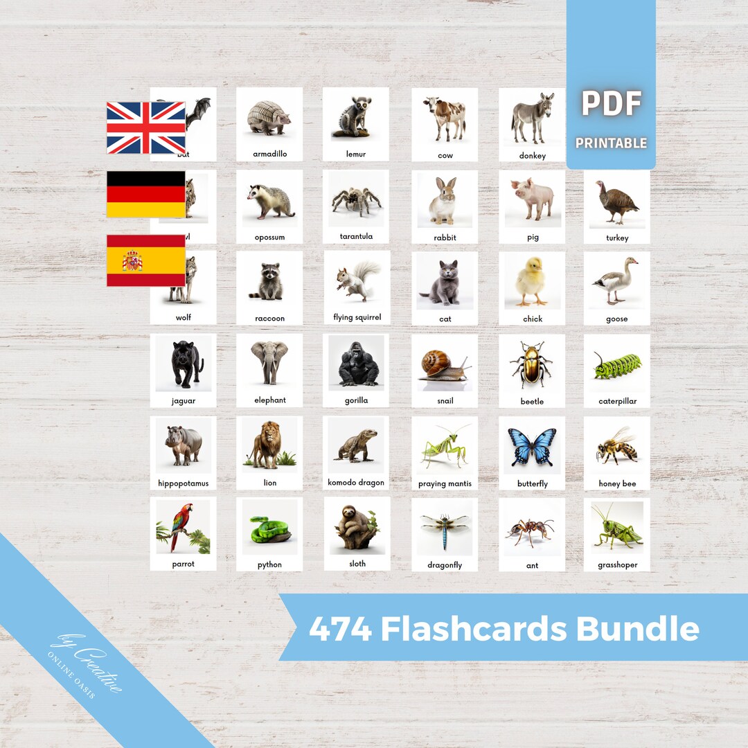 Paquete ANIMALES 474 tarjetas didácticas Montessori - Etsy España