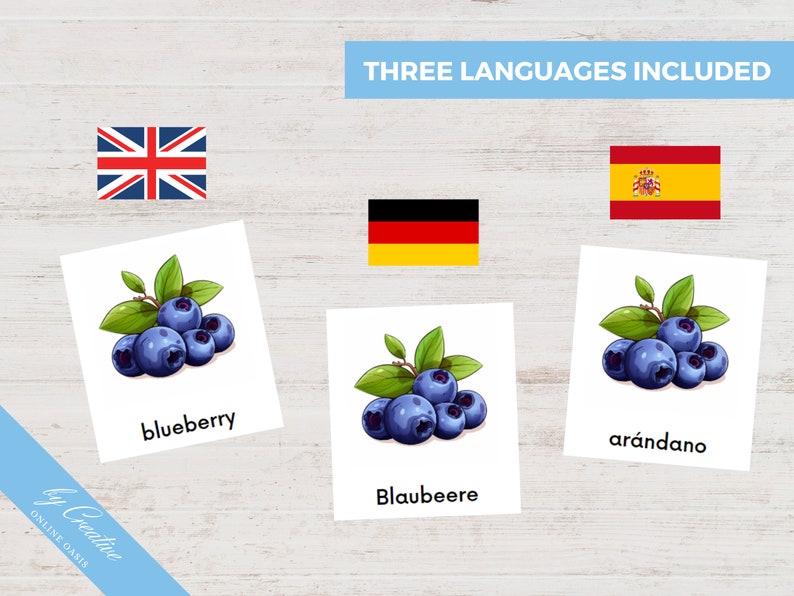 FIRST FOODS 28 Montessori Flash Cards German English Spanish ...