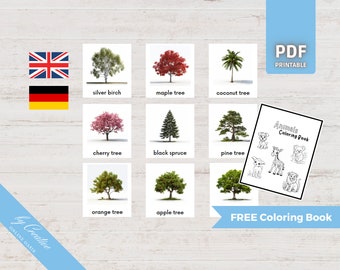 FIRST FOODS 28 Montessori Flash Cards German English Spanish ...