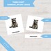ANIMALS Bundle 474 Montessori Flashcards Printable Image Card German ...