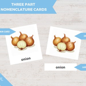 FIRST FOODS 28 Montessori Flash Cards German English Spanish ...