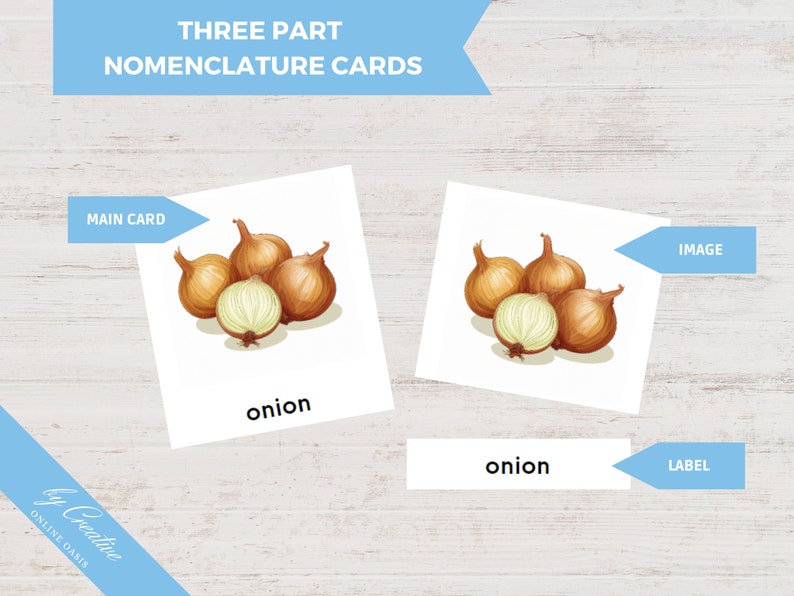 FIRST FOODS 28 Montessori Flash Cards German English Spanish ...