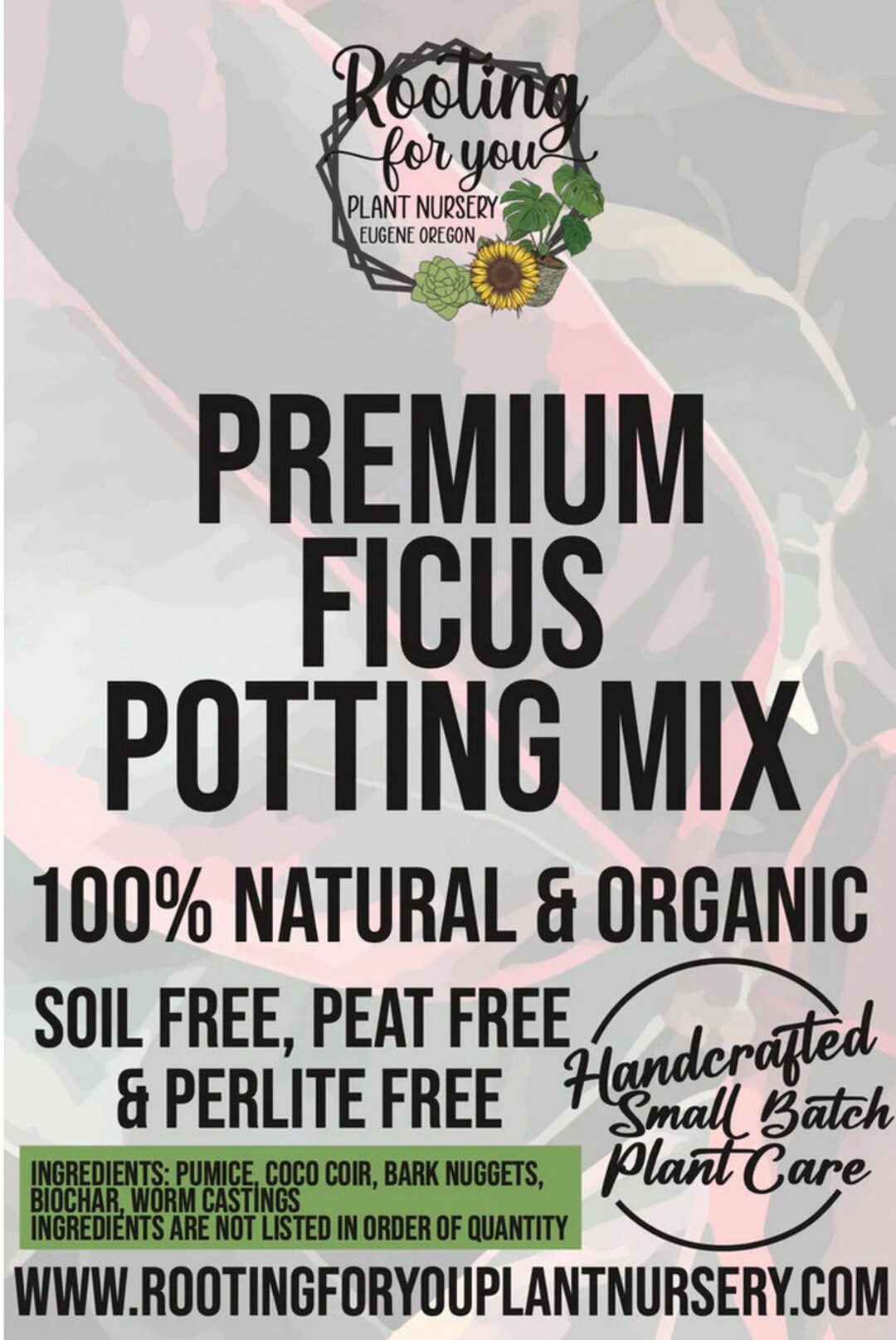 FICUS Premium Soil Less Potting Mix Oregon Licensed Nursery - Etsy