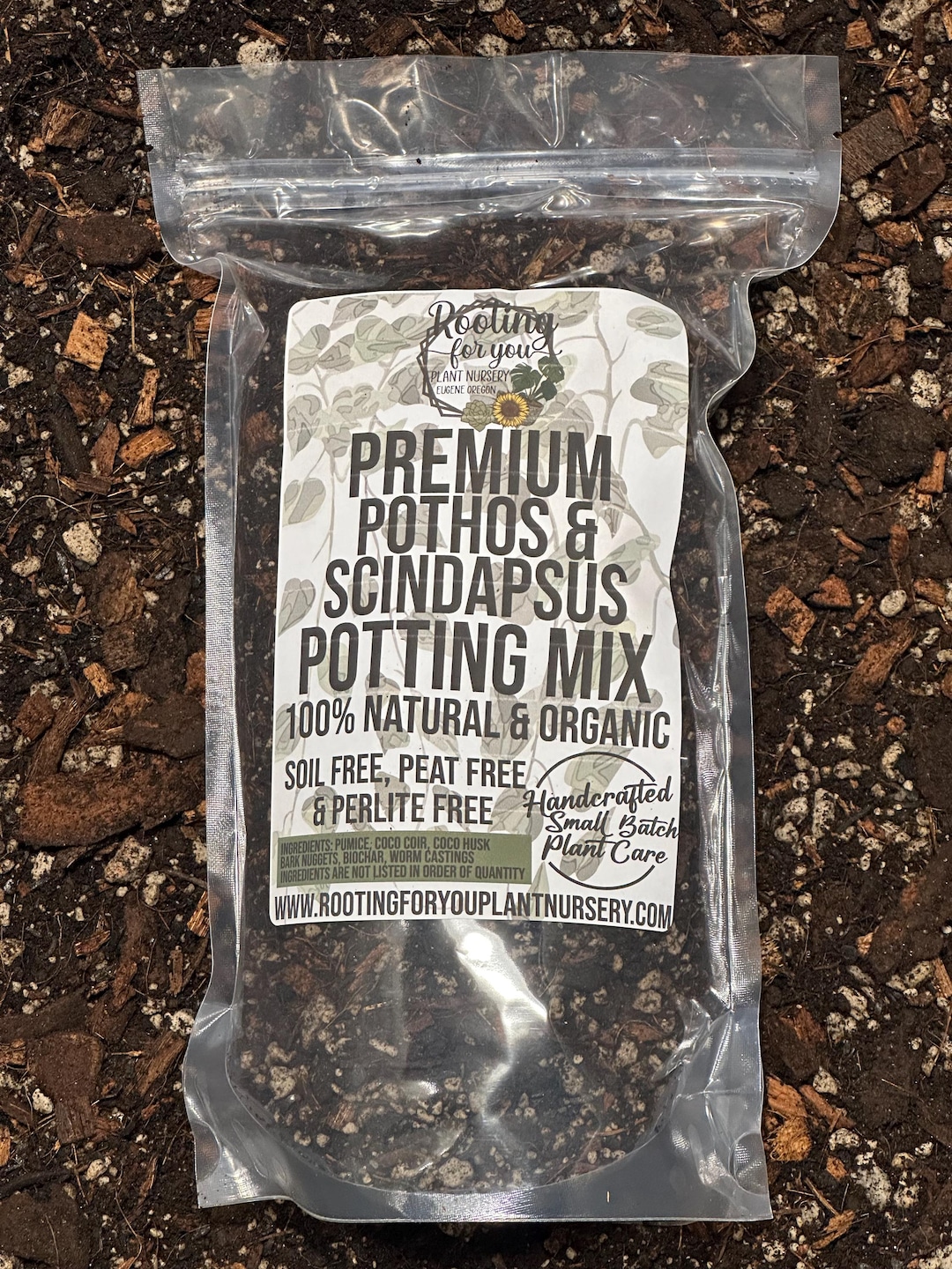 POTHOS SCINDAPSUS Premium Soil Less Potting Mix Oregon Licensed Nursery ...