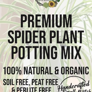 SPIDER PLANT Premium Soil Less Potting Mix Oregon Licensed Nursery ...