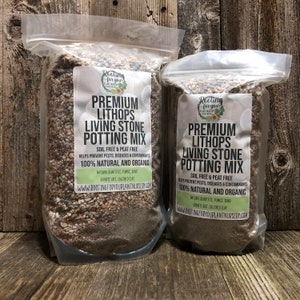 Lithops Premium Soil Less Potting Mix Oregon Licensed Nursery - Etsy