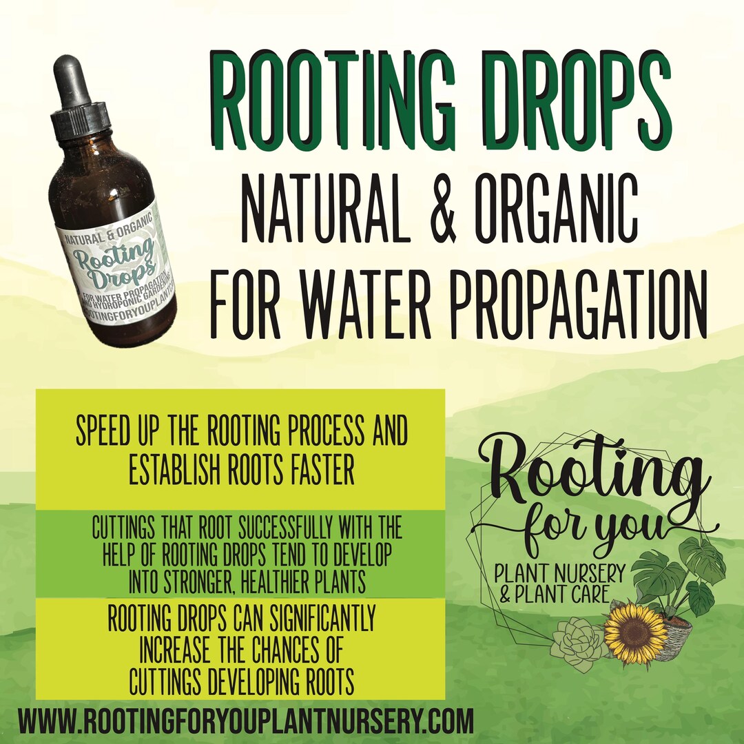 Rooting Drops for Water Propagation 4ozrooting Hormoneorganicveganpet ...