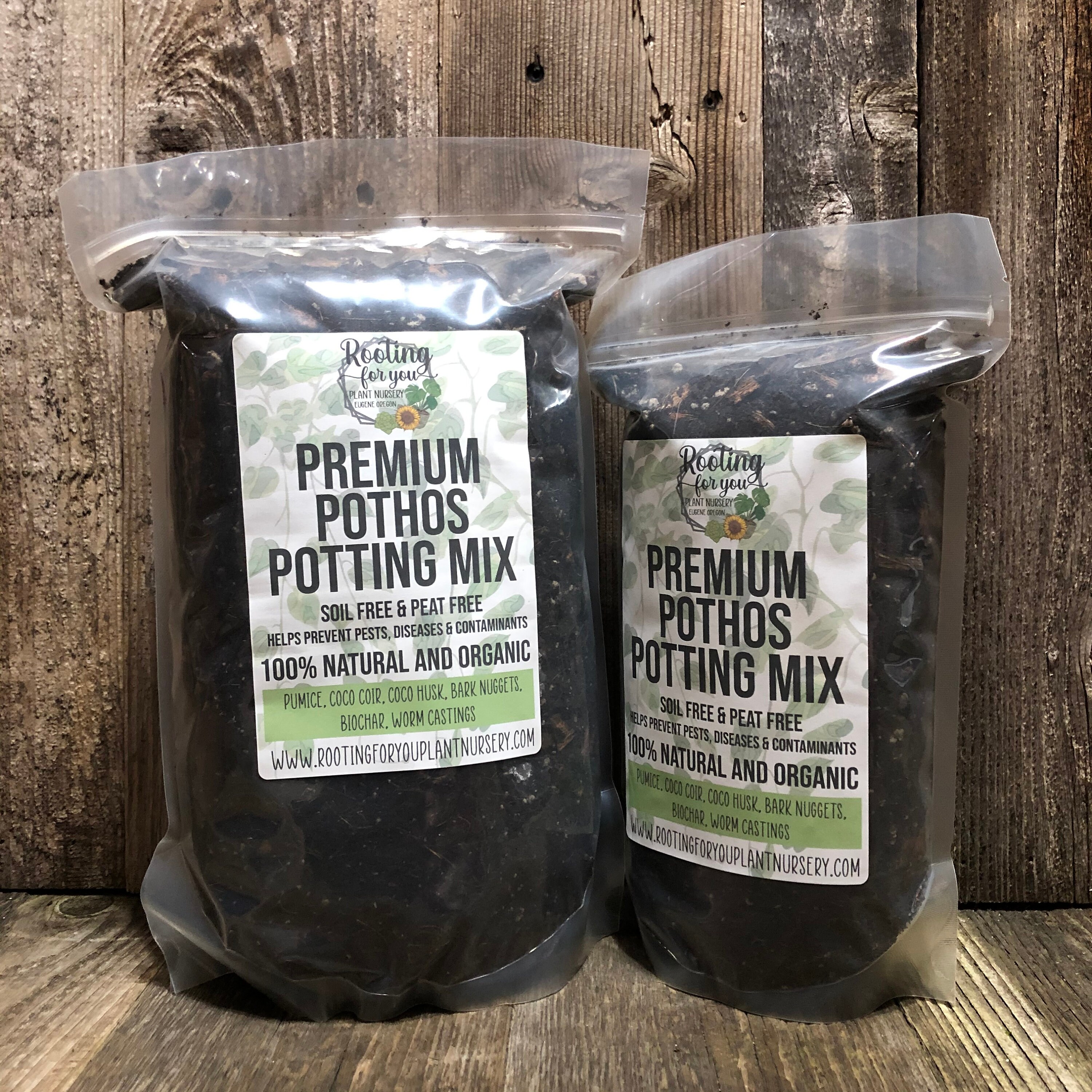 POTHOS SCINDAPSUS Premium Soil Less Potting Mix Oregon Licensed Nursery ...