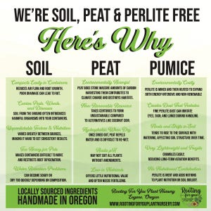 LITHOPS Premium Soil Less Potting Mix Oregon Licensed Nursery ...