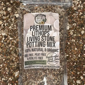 Lithops Premium Soil Less Potting Mix Oregon Licensed Nursery - Etsy
