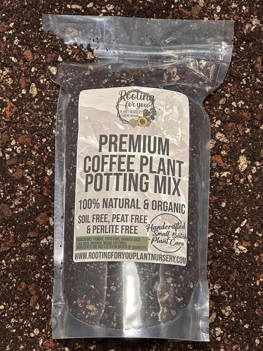 Coffee Plant Premium Soil Less Potting Mix Oregon Licensed Nursery - Etsy