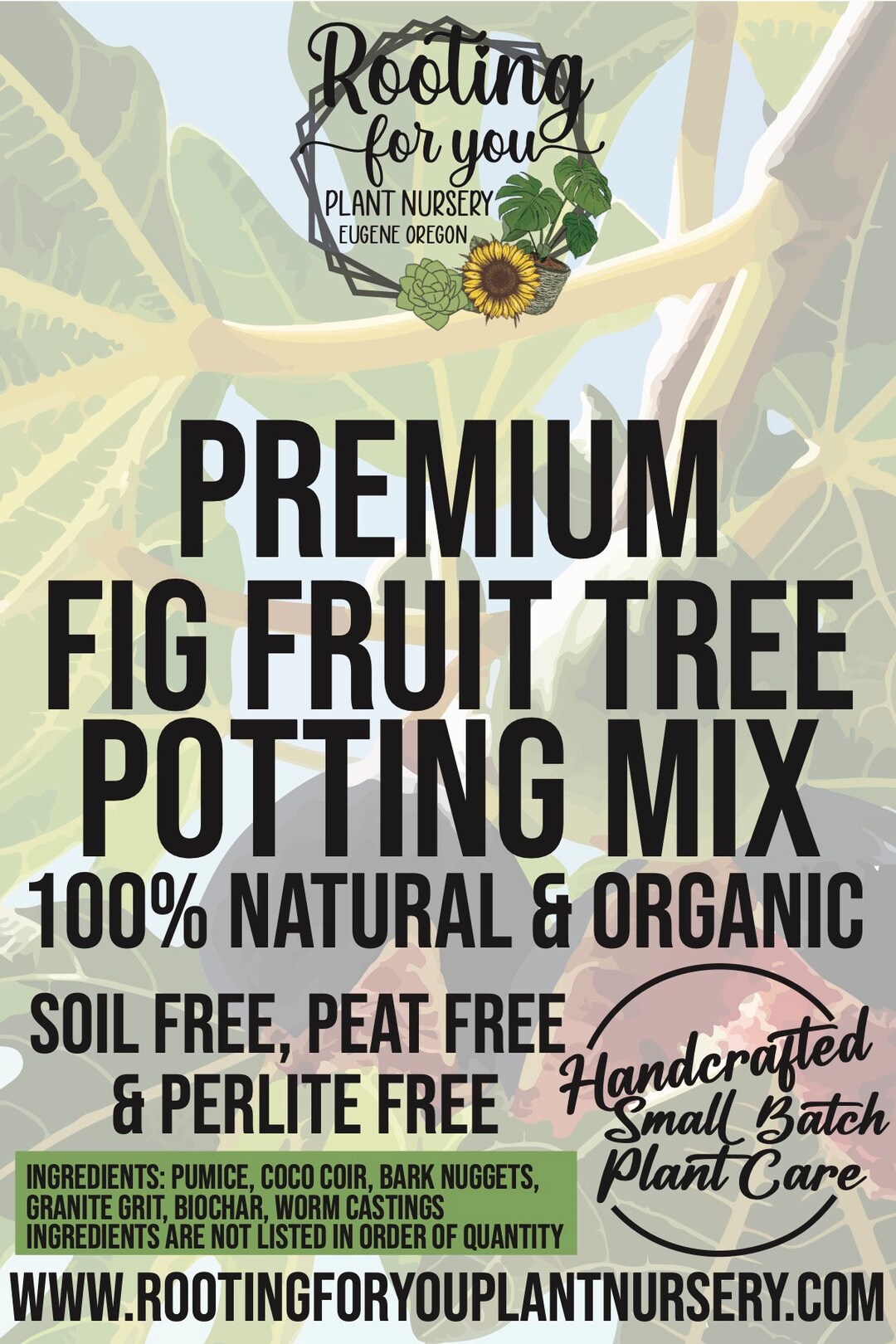 FIG FRUIT TREE Premium Soil Less Potting Mix Oregon Licensed Nursery ...