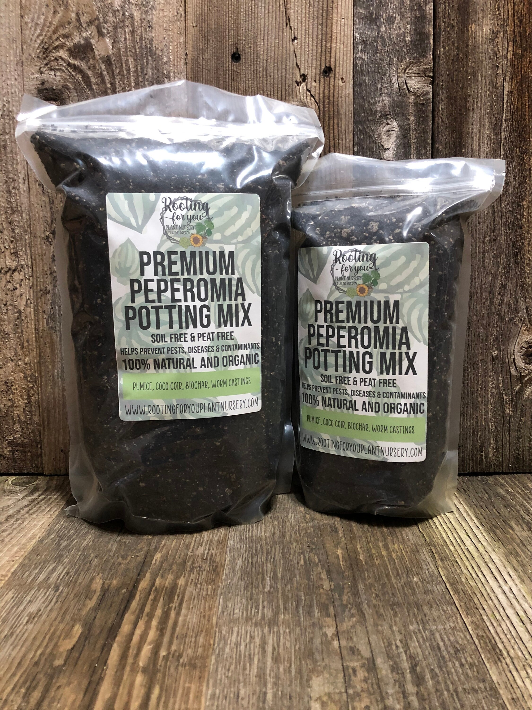 PEPEROMIA Premium Soil Less Potting Mix Oregon Licensed Nursery ...