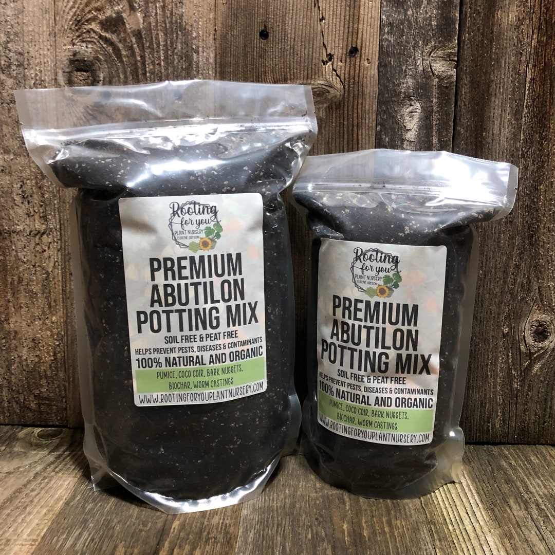 ABUTILON Premium Soil Less Potting Mix Oregon Licensed Nursery ...