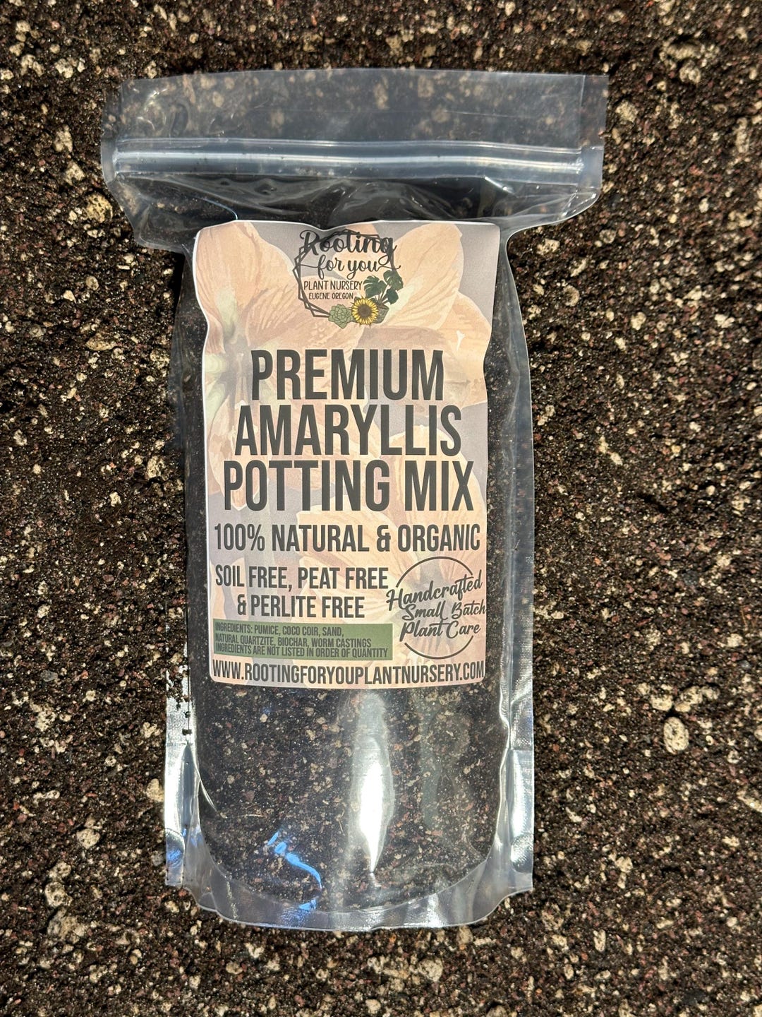 AMARYLLIS Premium Soil Less Potting Mix Oregon Licensed Nursery - - Etsy