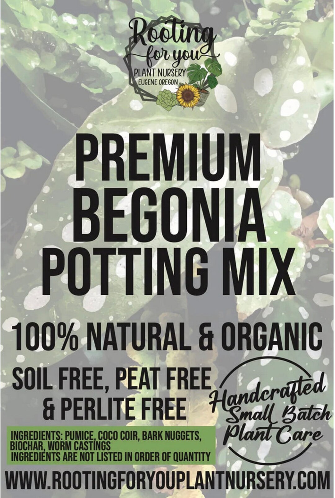 BEGONIA Premium Soil Less Potting Mix Oregon Licensed Nursery ...