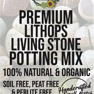 Lithops Premium Soil Less Potting Mix Oregon Licensed Nursery - Etsy