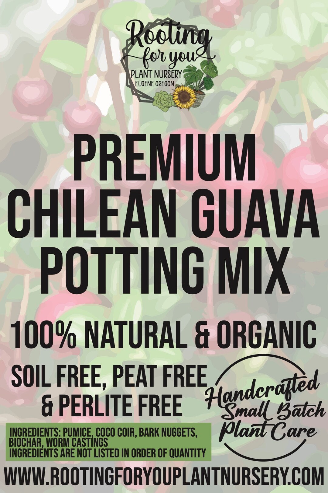 CHILEAN GUAVA Premium Soil Less Potting Mix Oregon Licensed Nursery ...