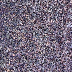 Lithops Premium Soil Less Potting Mix Oregon Licensed Nursery - Etsy