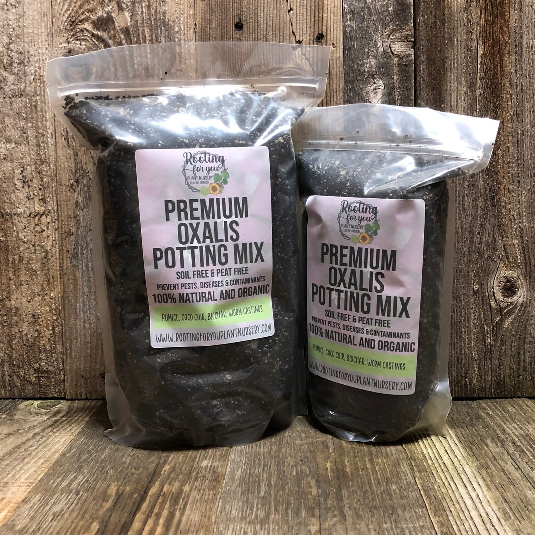 OXALIS Premium Soil Less Potting Mix Oregon Licensed Nursery ...