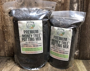 MONSTERA Premium Soil Less Potting Mix Oregon Licensed Nursery ...