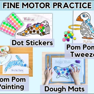 Arctic Animals Preschool Dot Marker Printable Arctic Animals Coloring ...
