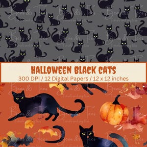 Halloween Black Cat Digital Paper Pack 12 Printable 12x12 Inch Paper ...