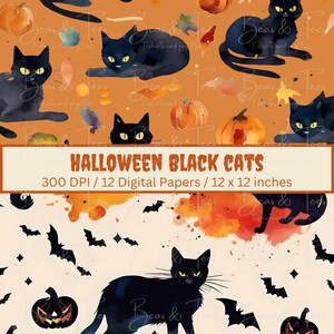 Halloween Black Cat Digital Paper Pack 12 Printable 12x12 Inch Paper ...