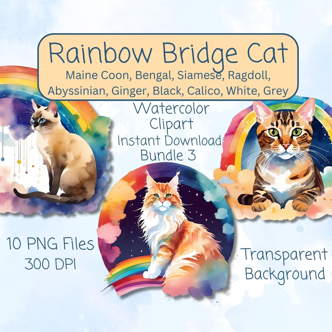 Rainbow Bridge Cat Watercolor Clipart 10 PNG Cats Maine Coon Siamese ...