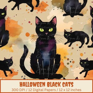 Halloween Black Cat Digital Paper Pack 12 Printable 12x12 Inch Paper ...