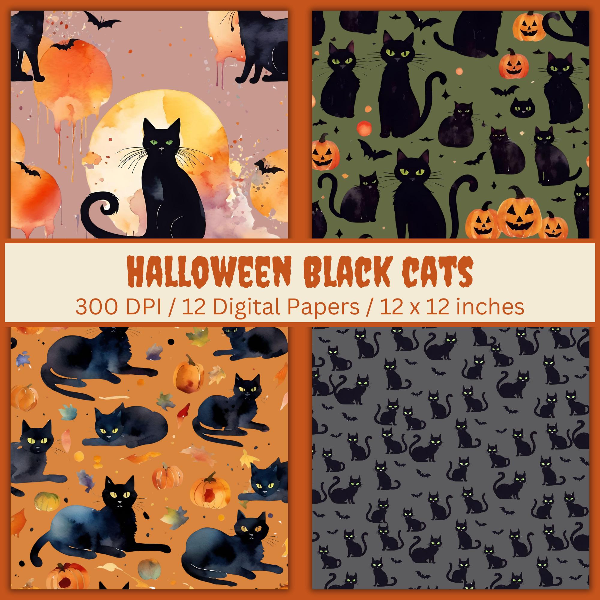 Halloween Black Cat Digital Paper Pack 12 Printable 12x12 Inch Paper ...