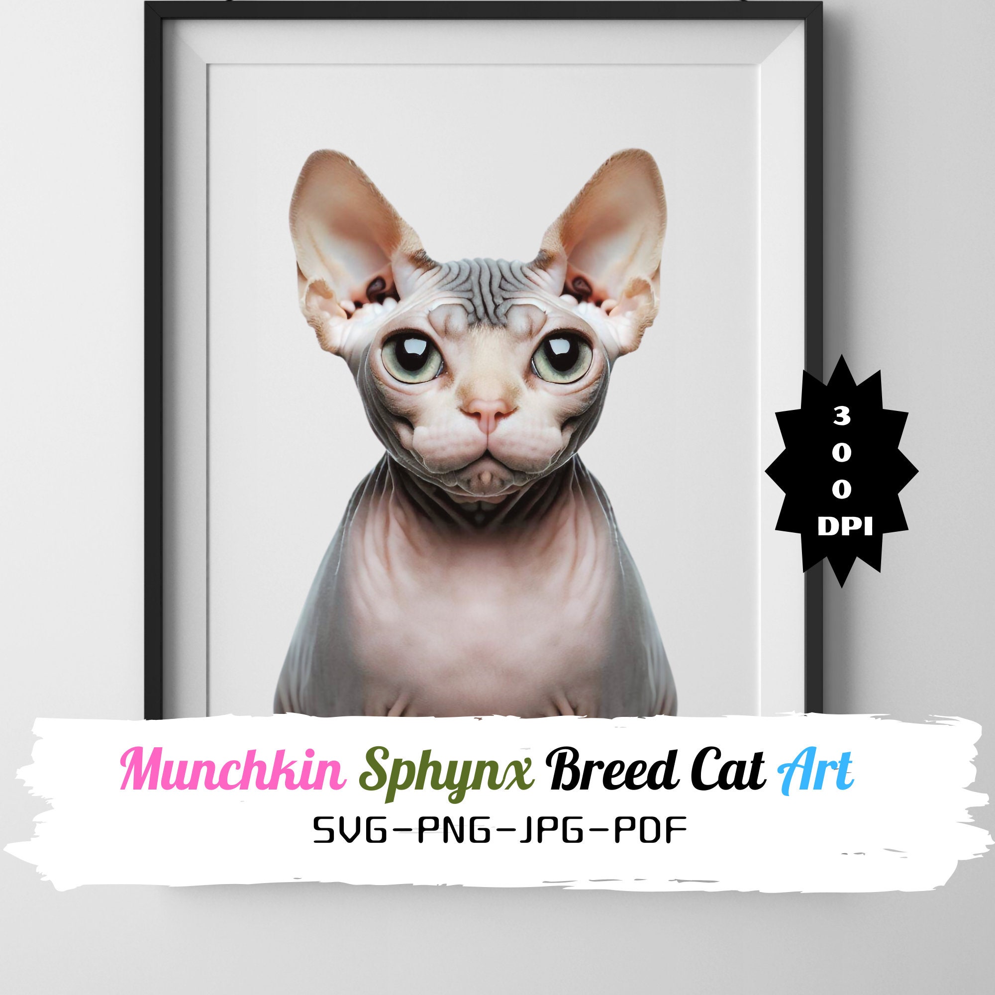 Munchkin Sphynx Cat
