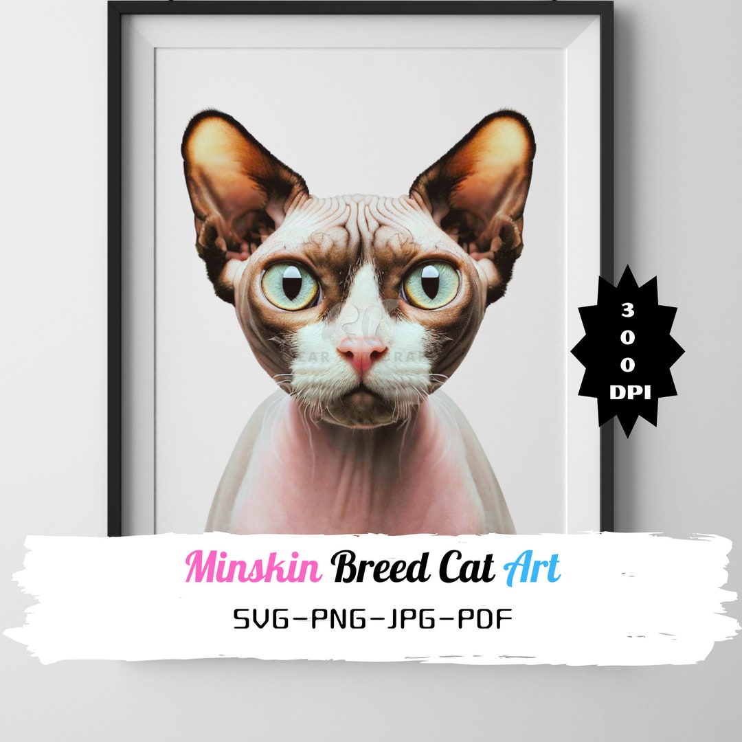 Minskin Breed Cat Clipart Svg Png Jpg Pdf DTF DTG - Etsy UK